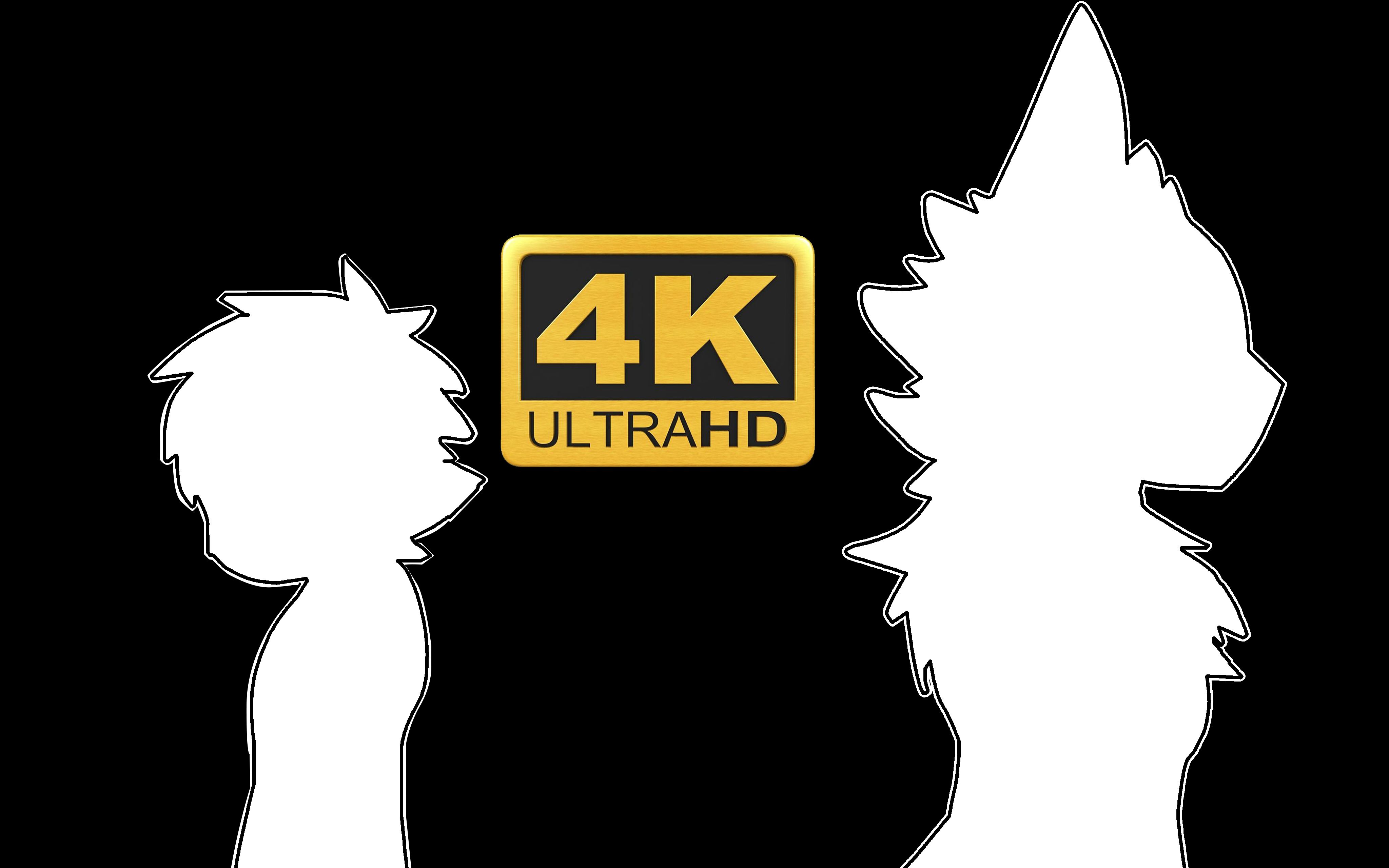 Changed牺牲自我结局4K高清重制过程