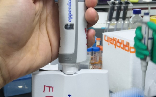 艾本霸道移液器。96孔板可以轻松应对了。