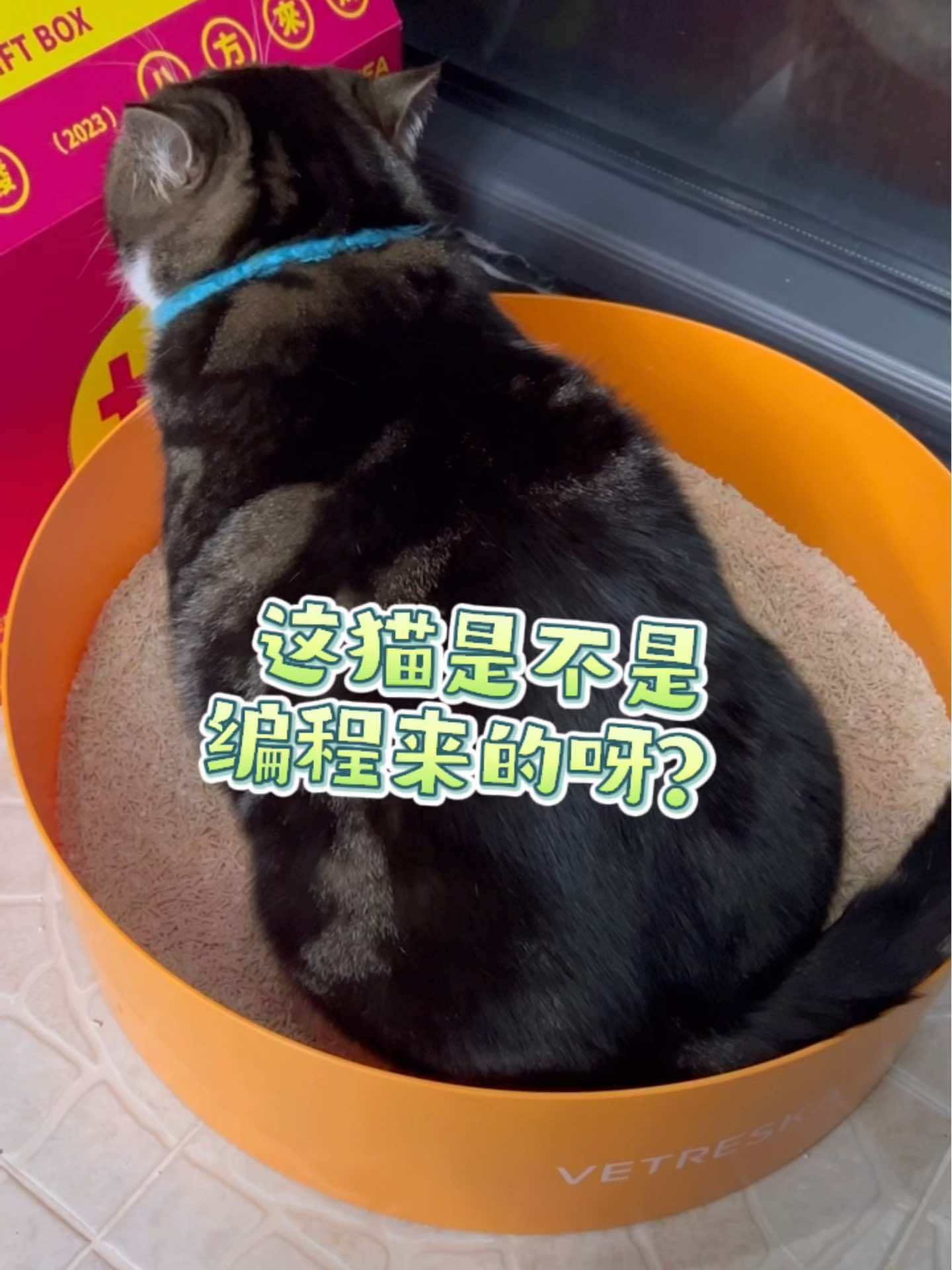 这猫谁写的代码?能不能售后修改一下?