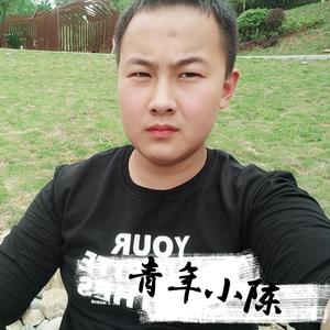 青年小陈 