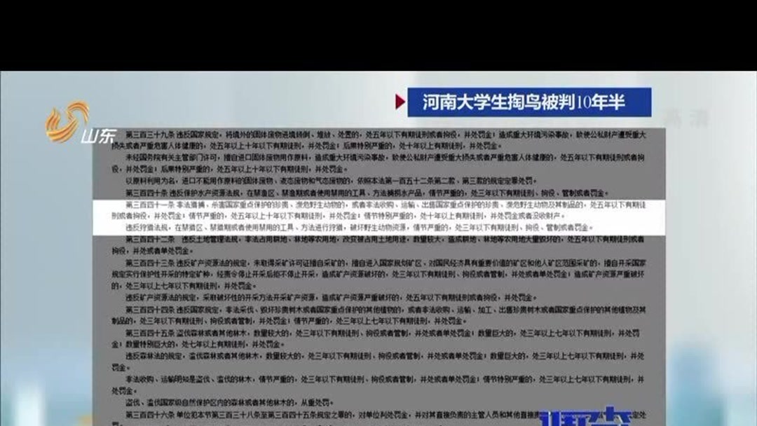 调查20151209 河南大学生掏鸟 被判10年半