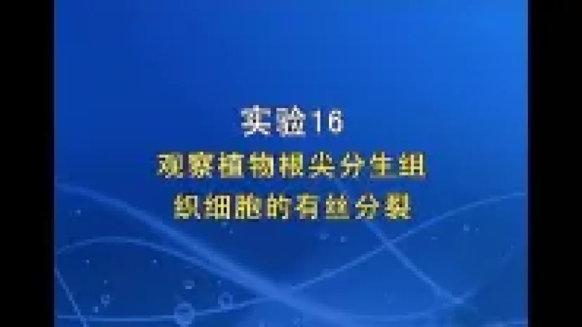 生物小课堂:实验观察植物根尖分生组织细胞的有丝分裂过程