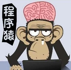IT君要挨踢 