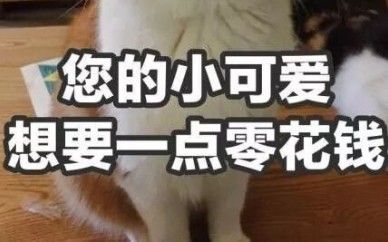 奖学金计划 真实打卡第五天2.0 简单录制