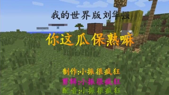 小振我的世界:MC版刘华强:你这瓜保熟吗