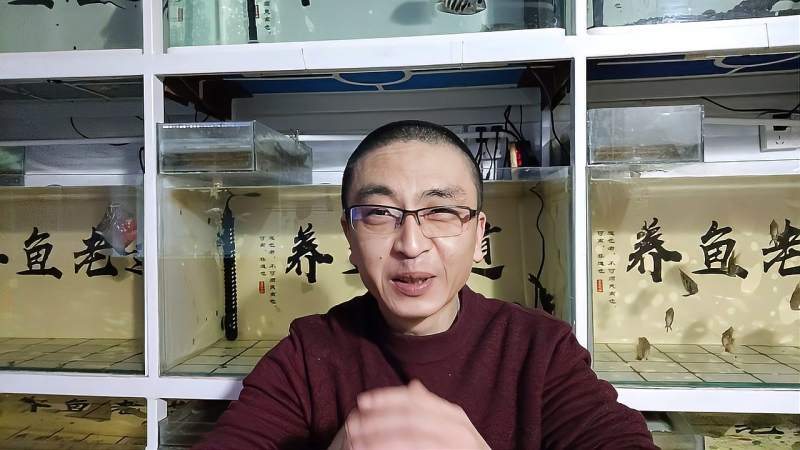 鱼缸、水泵、加热管,生化滤材的使用寿命是多少,有标准答案吗?