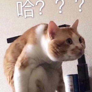 我是真正的阿其那 