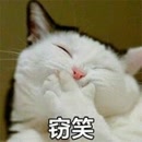 啦啦啦鲁啦啦啦啦 