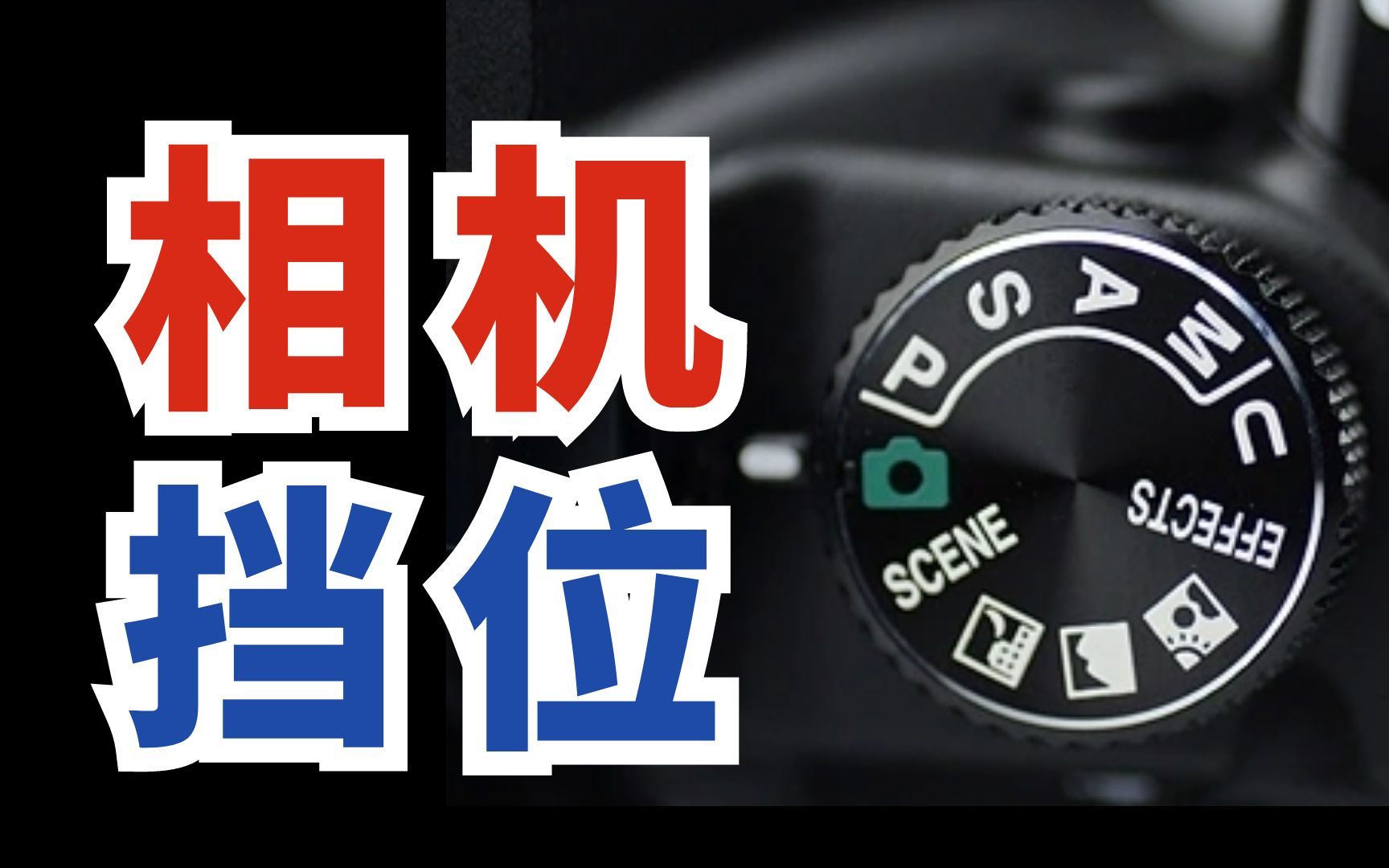 还有人告诉你学摄影必须用M档?相机档位最全解析赶紧码住!