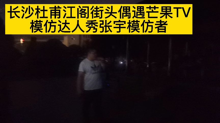 长沙街头偶遇上过电视的模仿秀达人 张宇模仿者