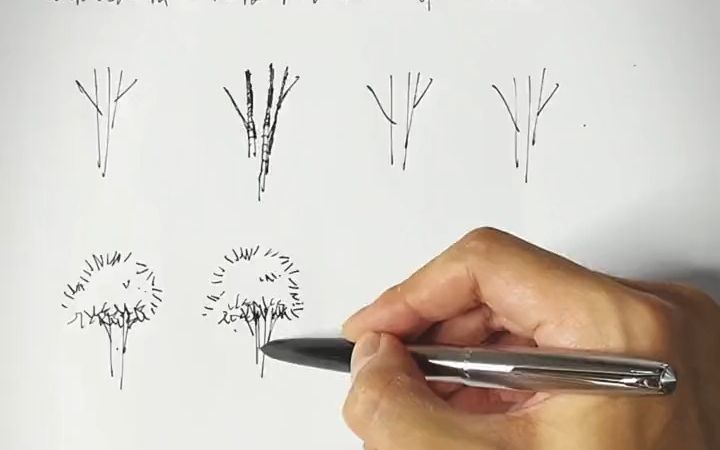 【钢笔画】零基础钢笔手绘,植物树干的画法