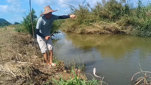 放上20根自动钓鱼器,大鱼一咬钩就别想跑,这次好货抓爆了