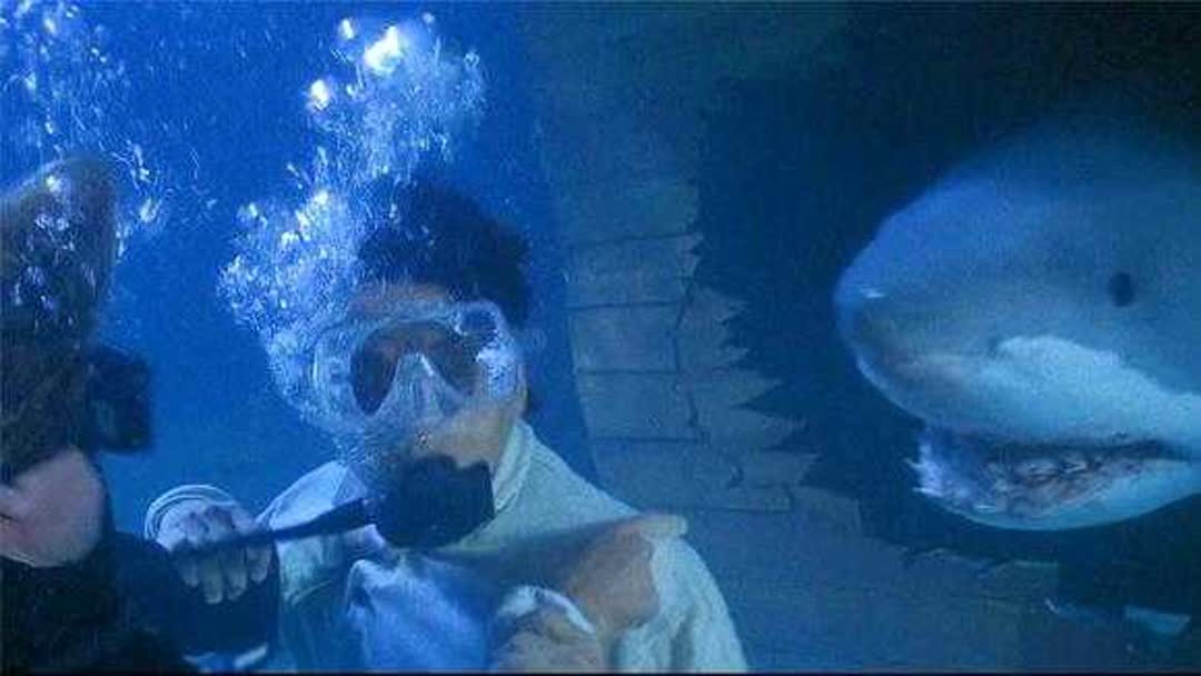 成龙大哥在《简单任务》里的这段斗鲨大戏,让人回味无穷