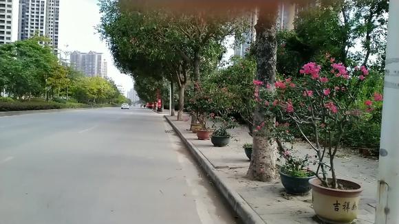 新手上路,请多指教哦!大家在开车的时候,是怎么拍好视频的呢?