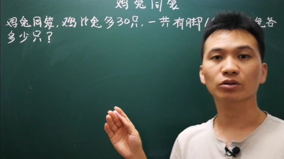 专题《鸡兔同笼》第2集