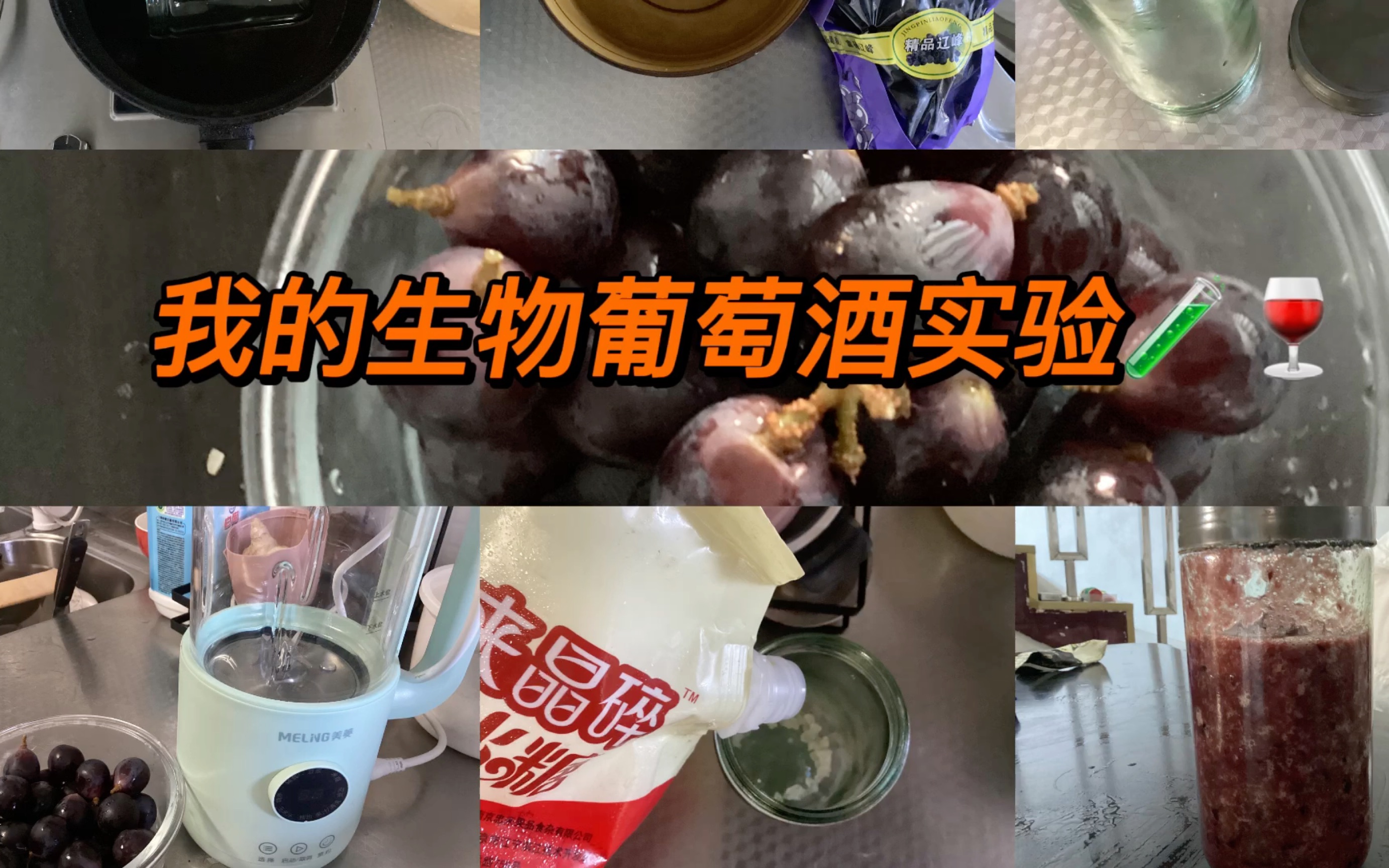 生物选修三葡萄酒实验