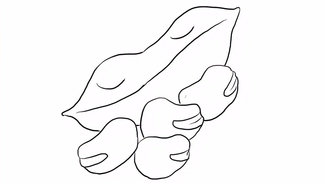 蚕豆儿童亲子简笔画