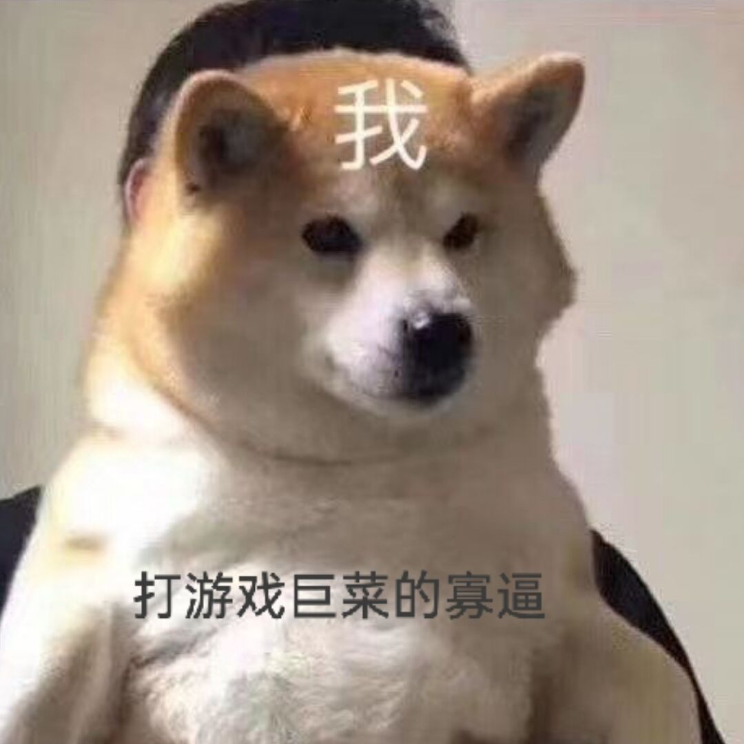 珀特头 