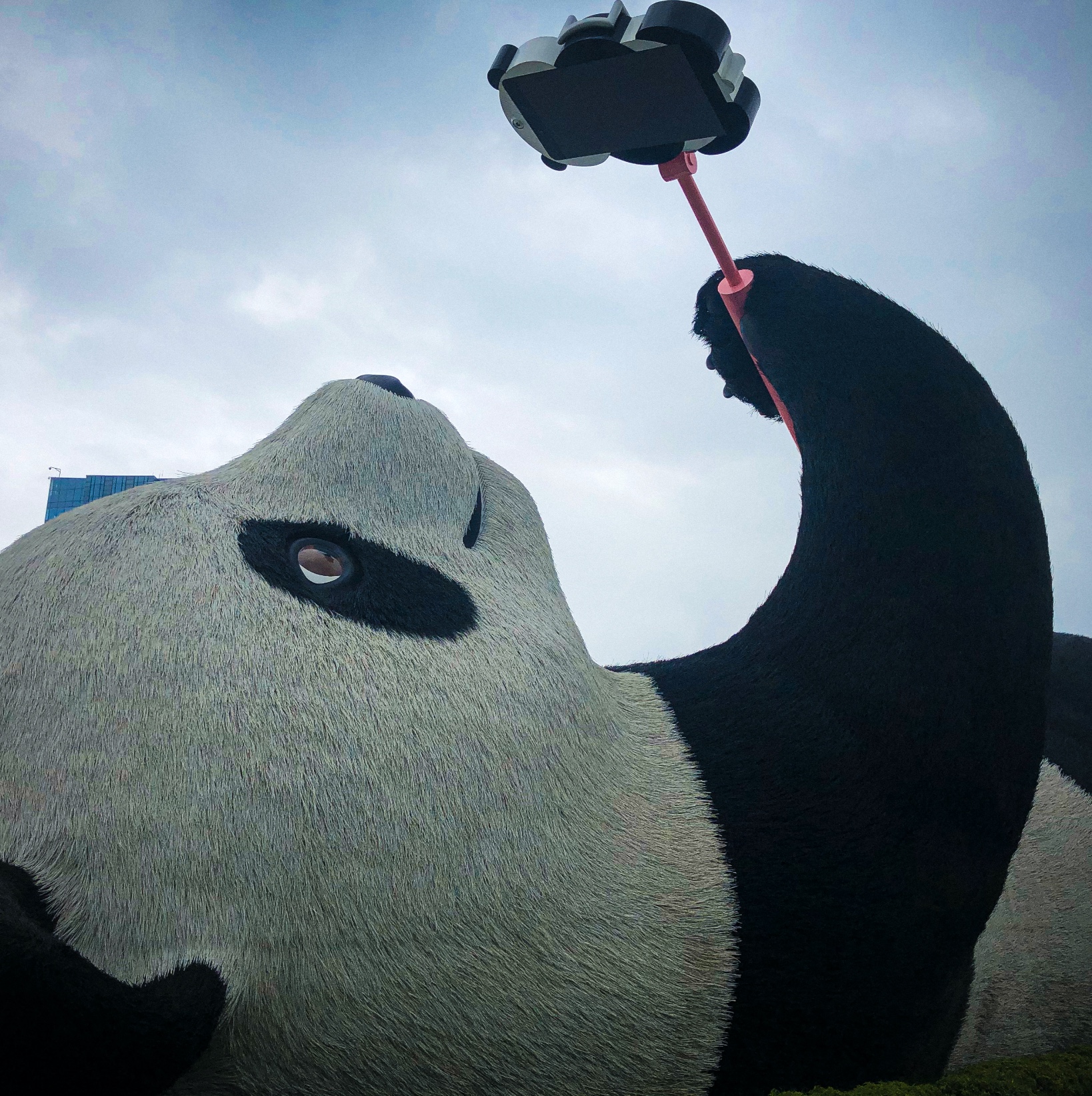 跑跑的卡丁 