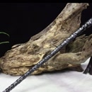 收拾收拾时光ߘ 