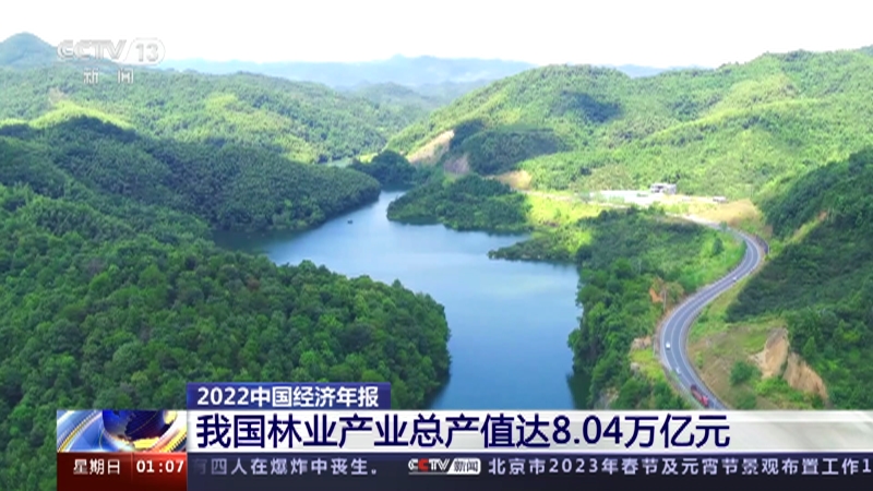[新闻直播间]2022中国经济年报 我国林业产业总产值达8.04万亿元