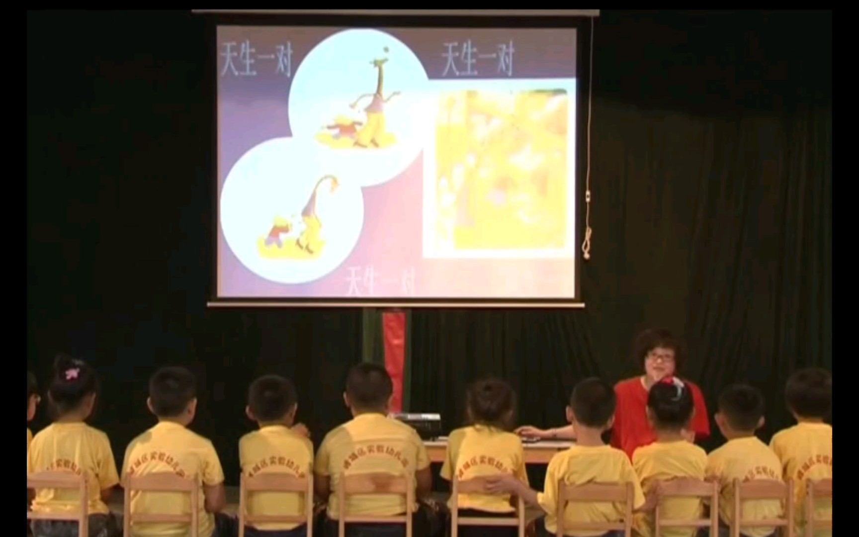 幼儿园大班语言教育活动:《天生一对》
