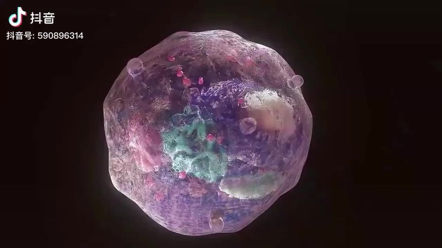 史诗级干细胞动画,细胞之旅!#视觉震撼 #纪录片 #视觉