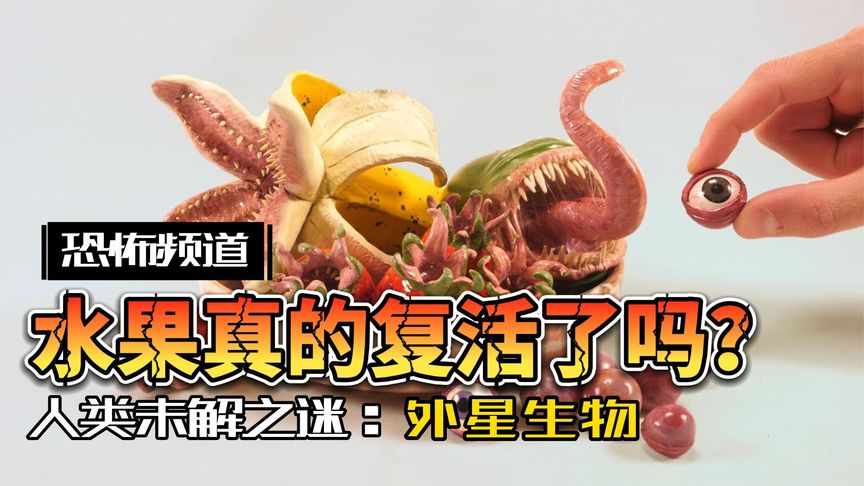 模型:复活的水果,家里消失的小主人!