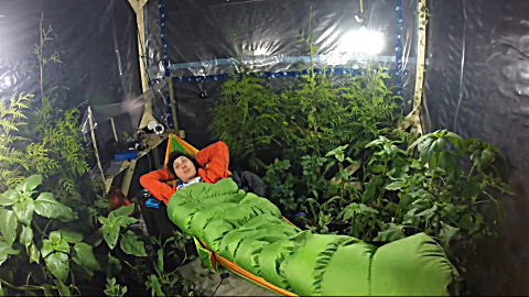密封空间放200棵植物制造氧气?老外试了下,结果让人想不到