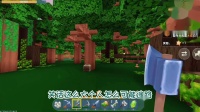 迷你世界:卡卡豆豆双人生存 第12集 进入危险重重的雨林,寻找乔木之芯...