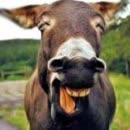 喜欢赛跑の女娲朗宁 