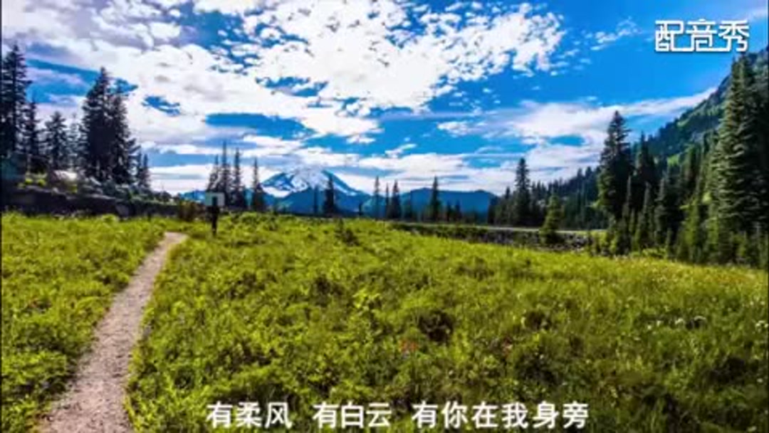 与你同行(代伐钟朗读)(2016.12.17)