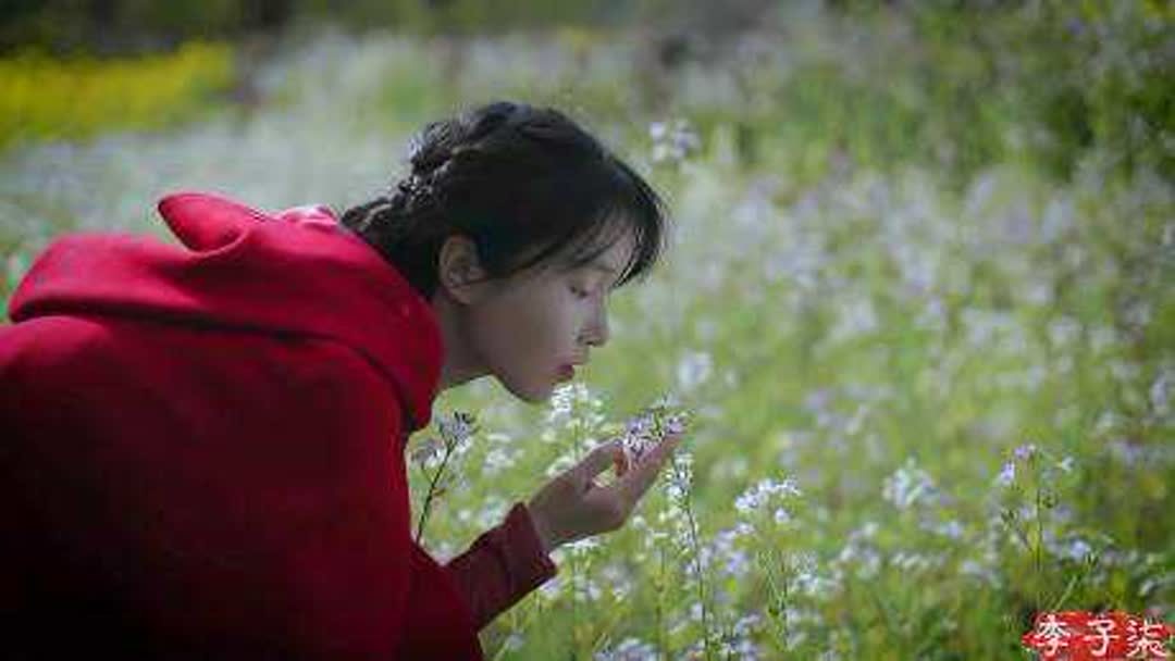 李子柒一物一生系列完结了,期待以后更好的相遇