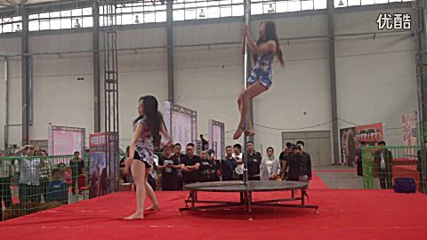 藏獒展冰魅舞韵美女钢管舞演出双人钢管