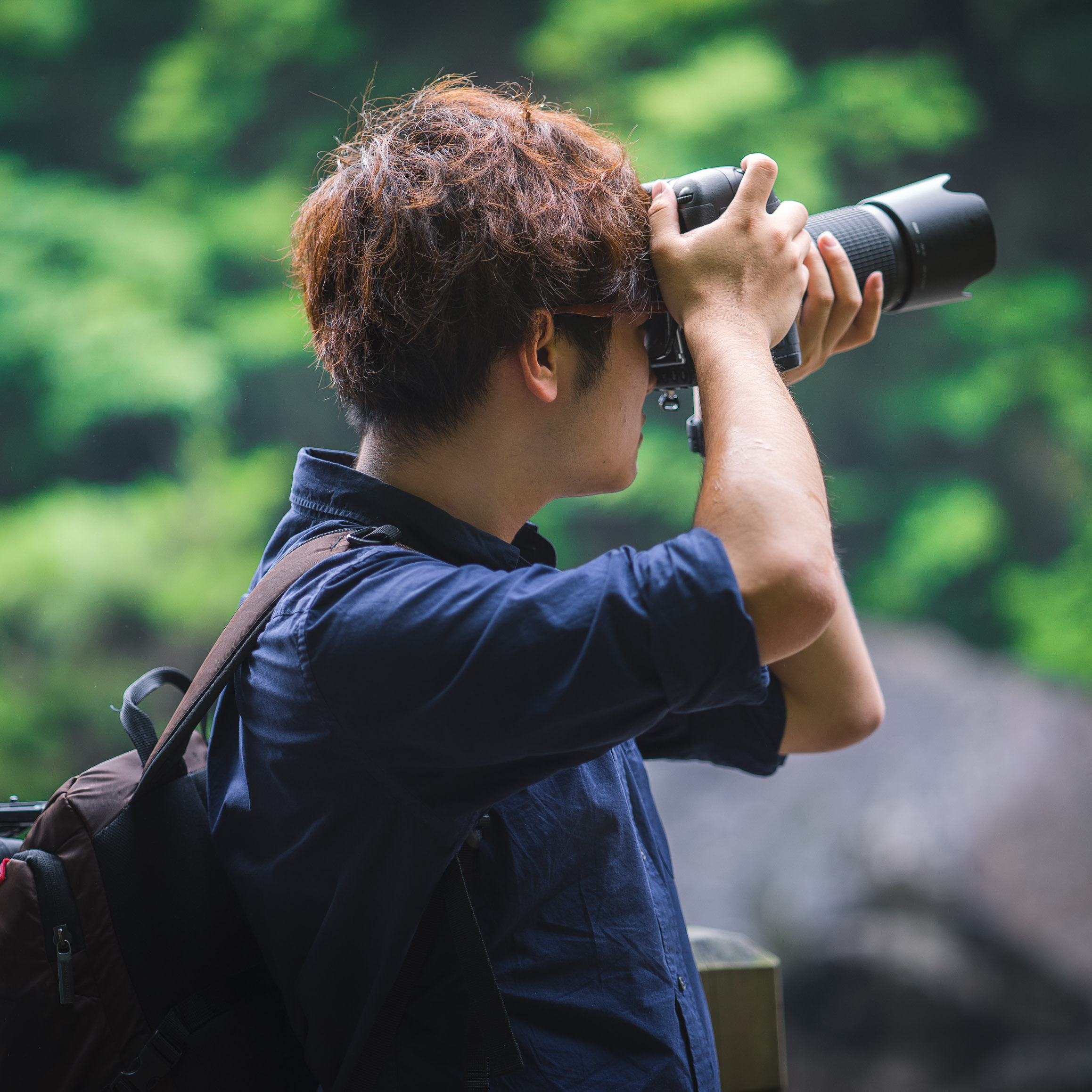 Linksphotograph 