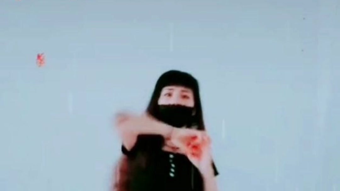 小舞蹈 简单易学 有动作分解