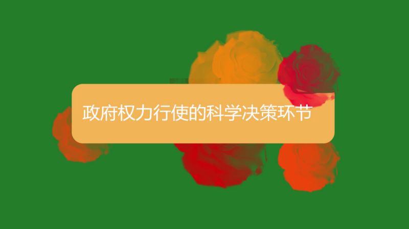 政府权力行使的科学决策环节