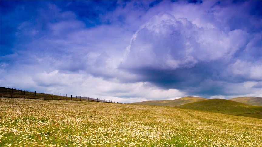 【舒心助眠减压音乐】重重叠叠上瑶台,几度呼童归不开。