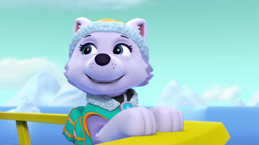 汪汪队:热爱工作的狗狗,希望能帮得上忙,一脸期待的模样惹人爱