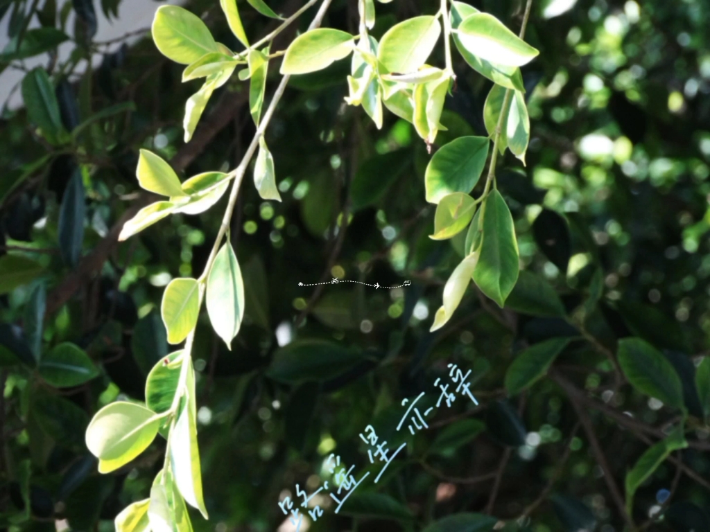 对于路星辞来说,段嘉衍就是他的绝配。