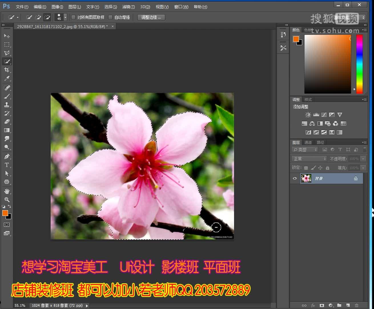 ps教程淘宝美工初学者首选快速选择工具和移动工具用法mp4