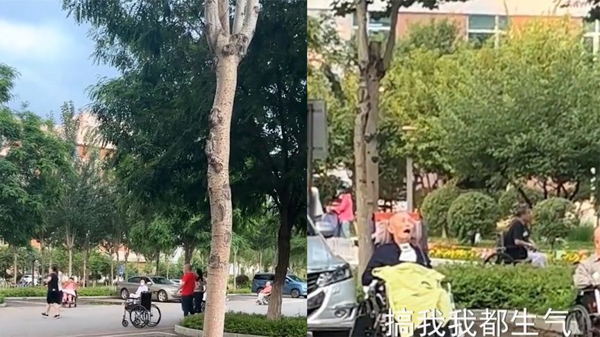 大妈们花枝招展跳广场舞,大爷却齐刷刷坐轮椅晒太阳:配置可真高