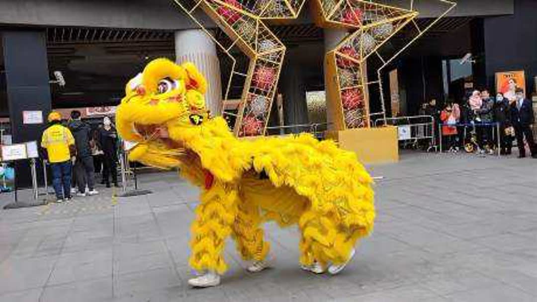 上海的舞龙舞狮太好看了,热热闹闹,全场欢呼叫好