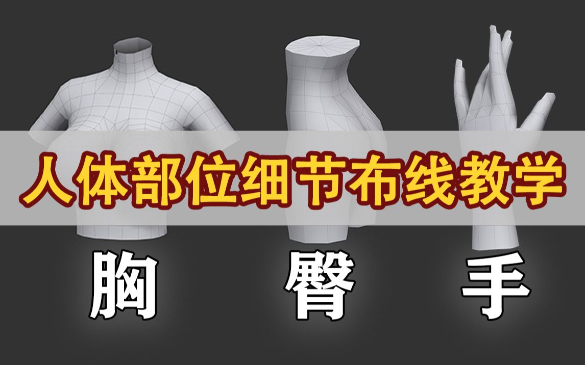 新手必学3dmax建模教程!人体胸部\臀部\手部布线建模,3Dmax女性人物...