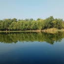 爱吃烧烤の夏侯梦桐159 