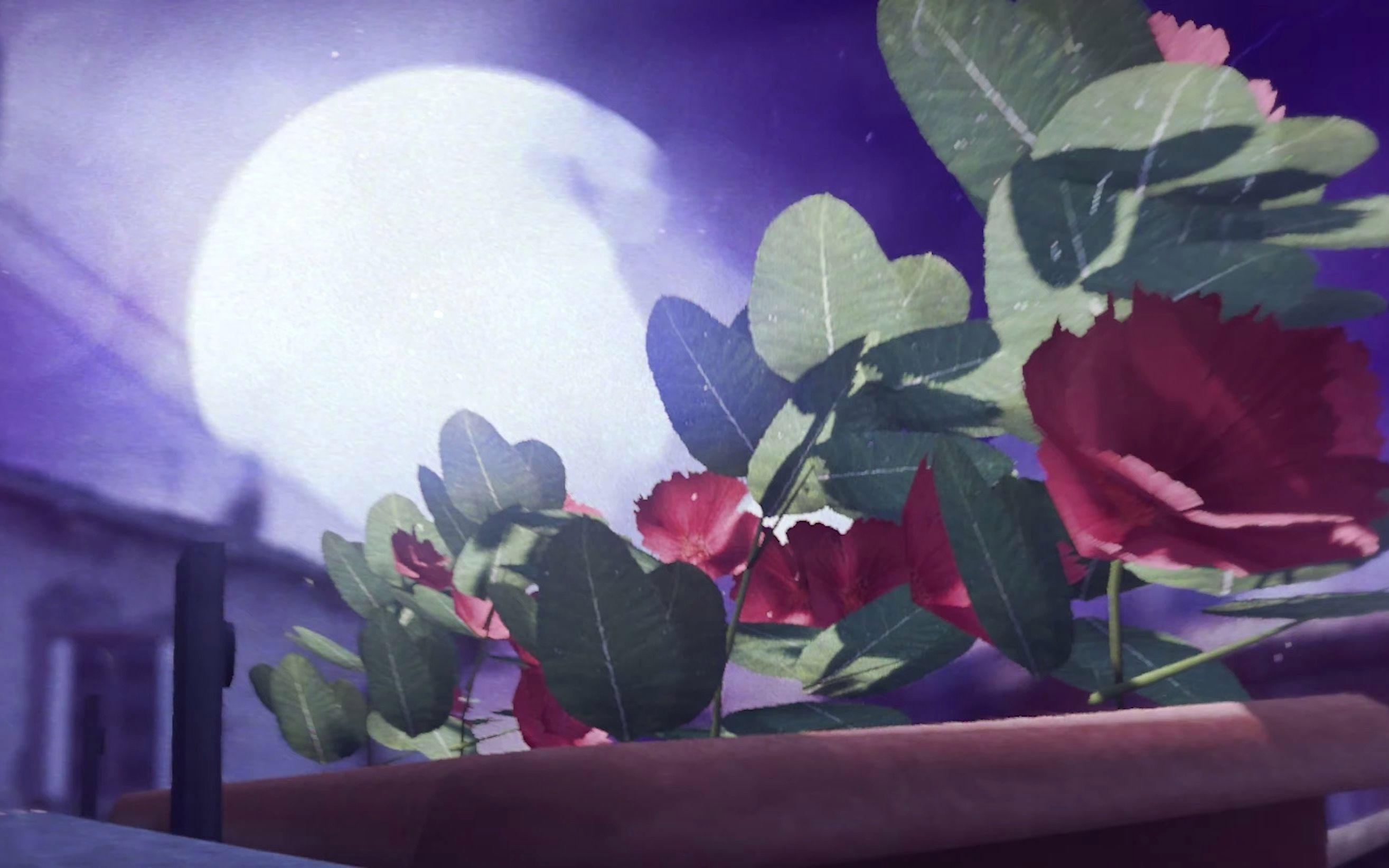 [CS GO] DIADEM by pau1kei