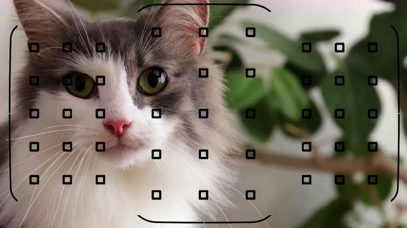 你的摄影知识牢固吗,这个视频,帮你夯实基础