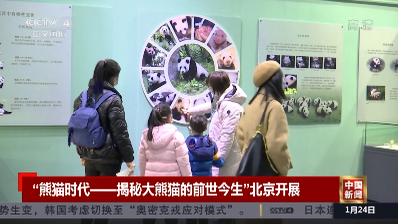 [中国新闻]“熊猫时代——揭秘大熊猫的前世今生”北京开展