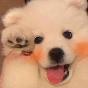 椰Ccccc 