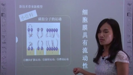 高二生物 第四章第二节生物膜的流动镶嵌模型